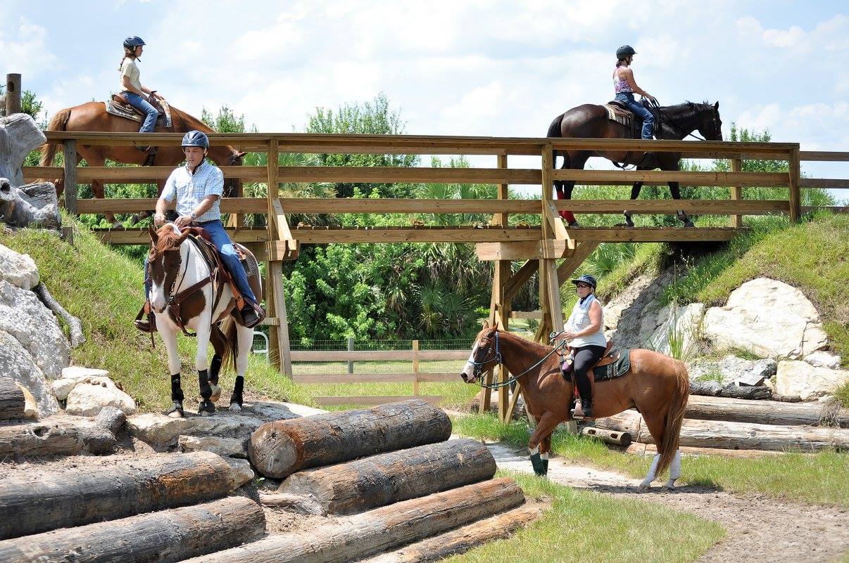Hope Springs Obstacle Course Hope Rides Youth Horse Program In